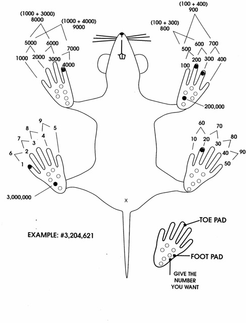 Rodent Tattoo System